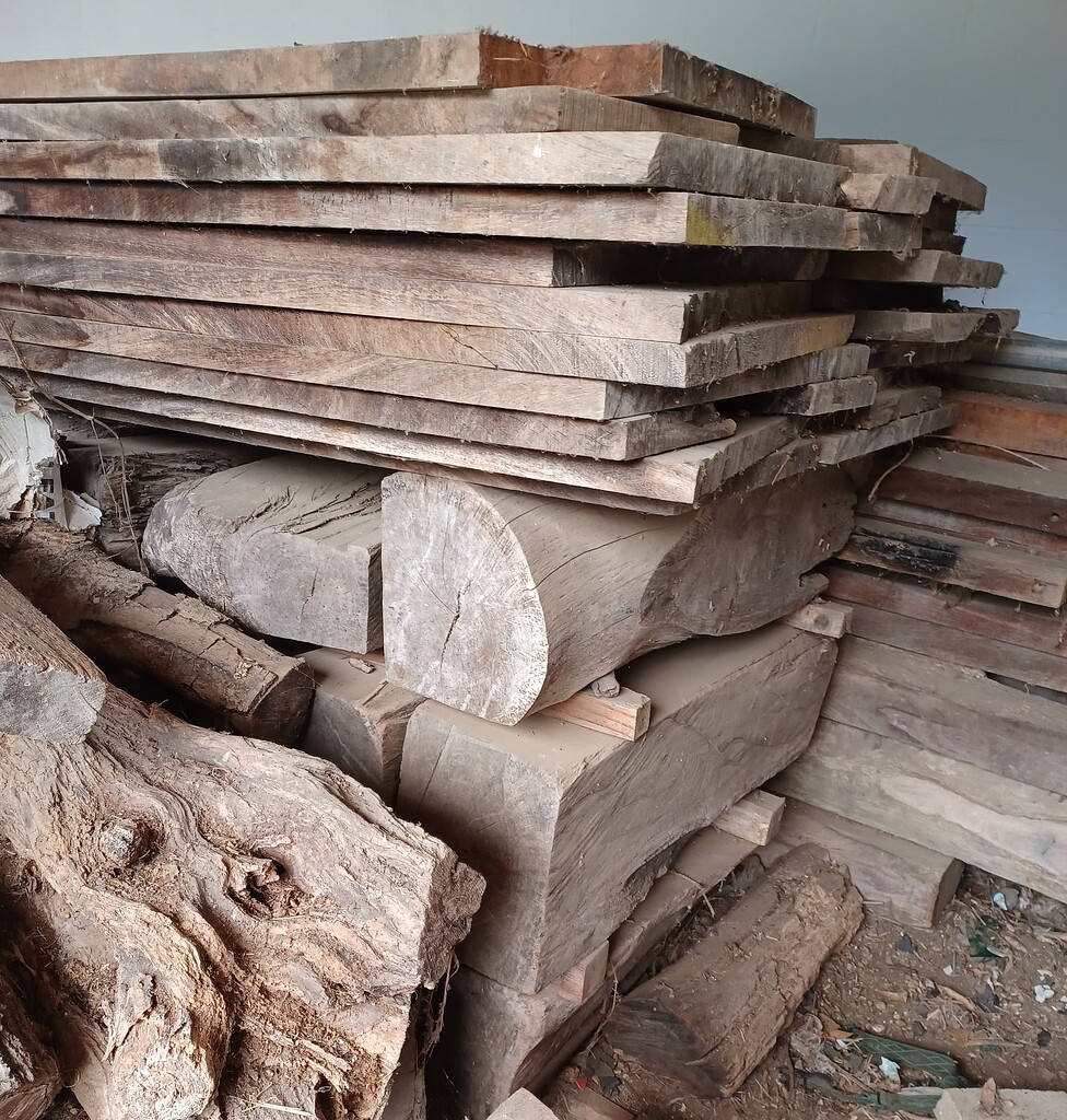 Duda sobre Caoba de Honduras - General - Foromadera