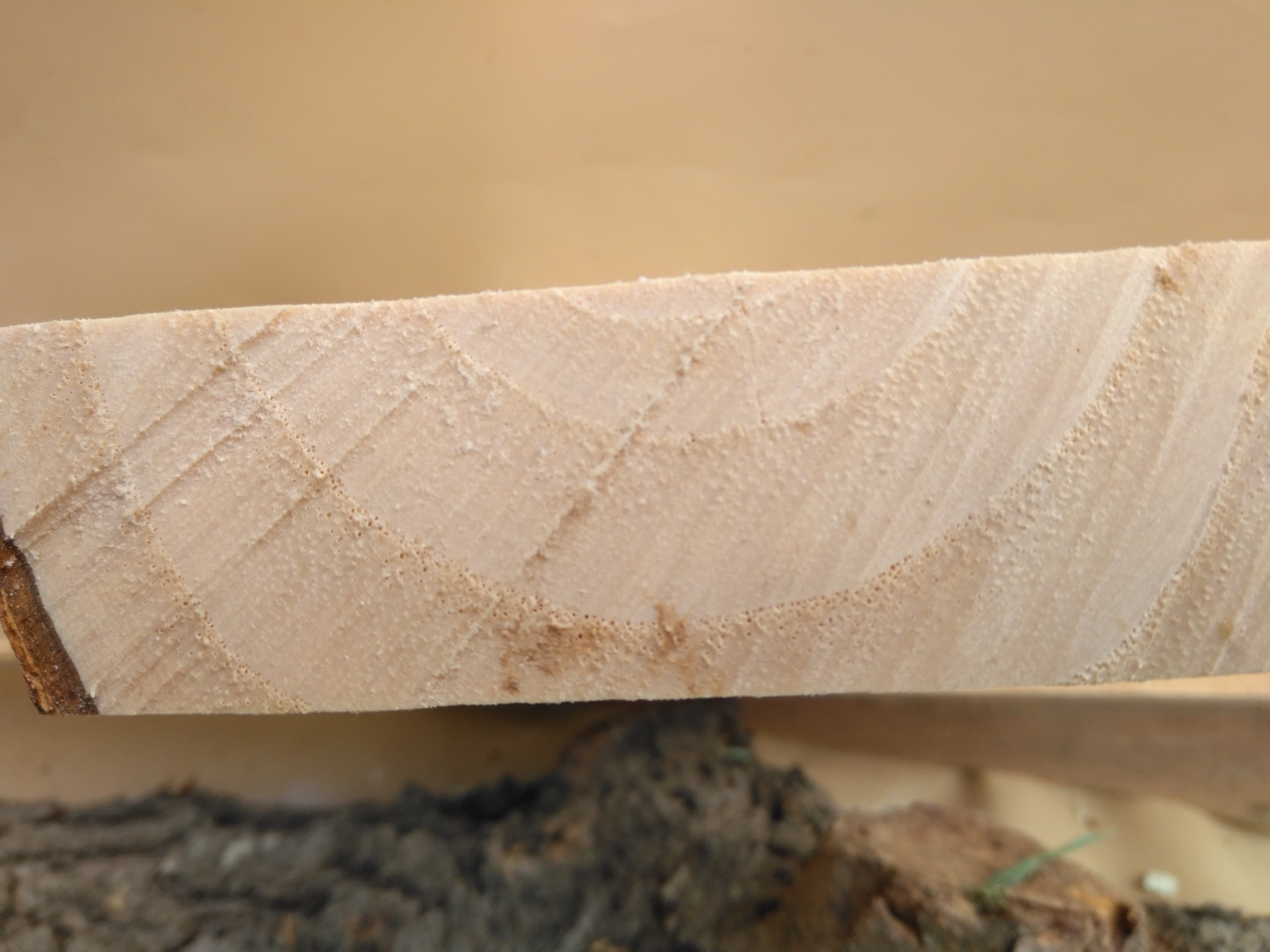 Duda con nogal pecano - Maderas y otros materiales - Foromadera